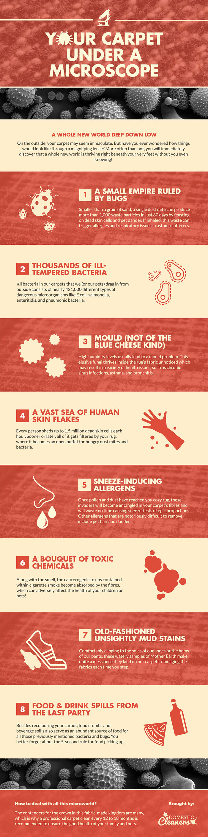 Your Carpet Under a Microscope [ Infographic ] | Star Domestic Cleaners